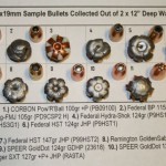 Bullet Samples